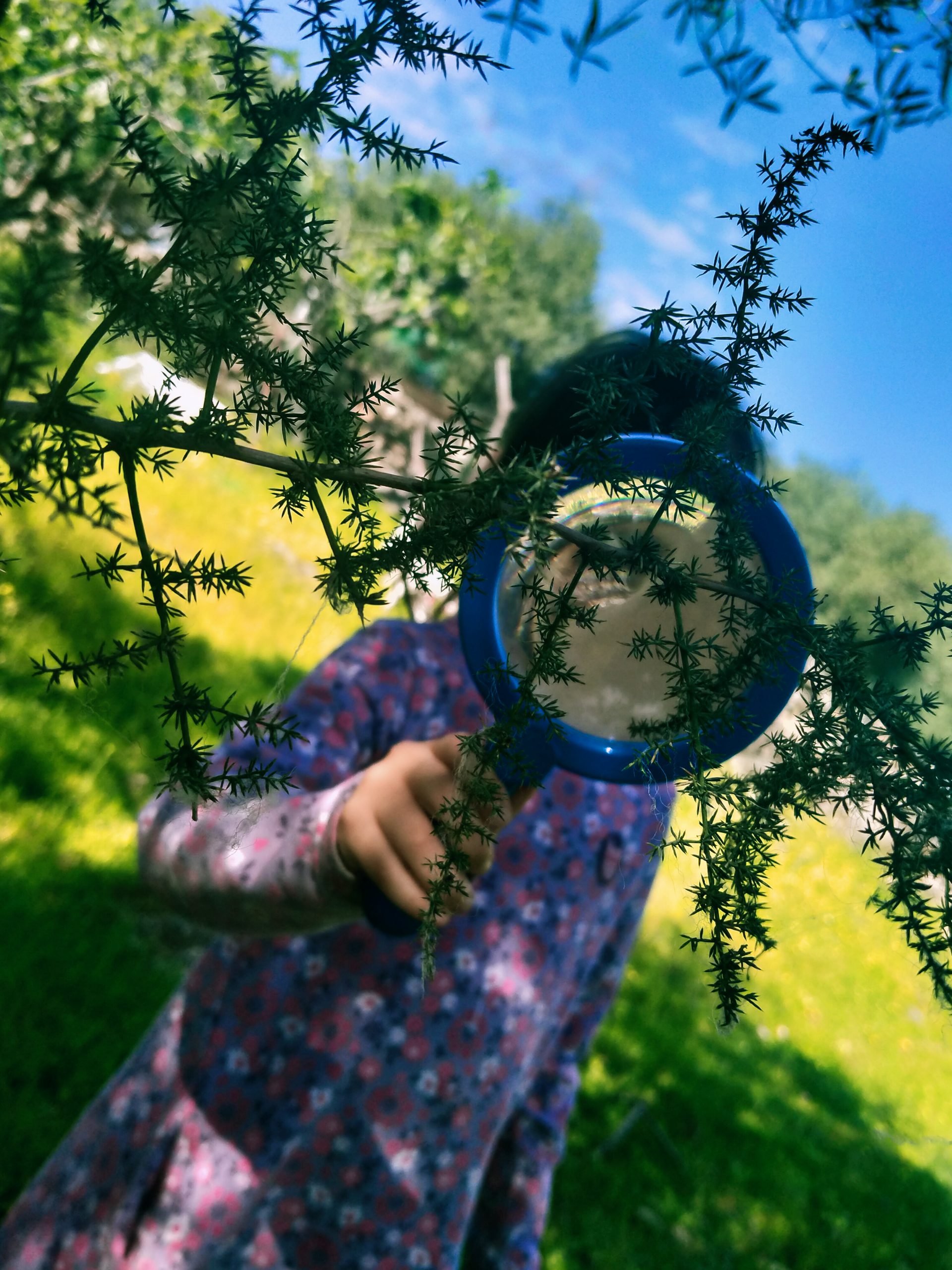 La curiosidad científica en tiempos difíciles. La escuela en casa.